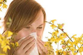 Allergic Rhinitis Surgery - Deviated Septum Information & Advice